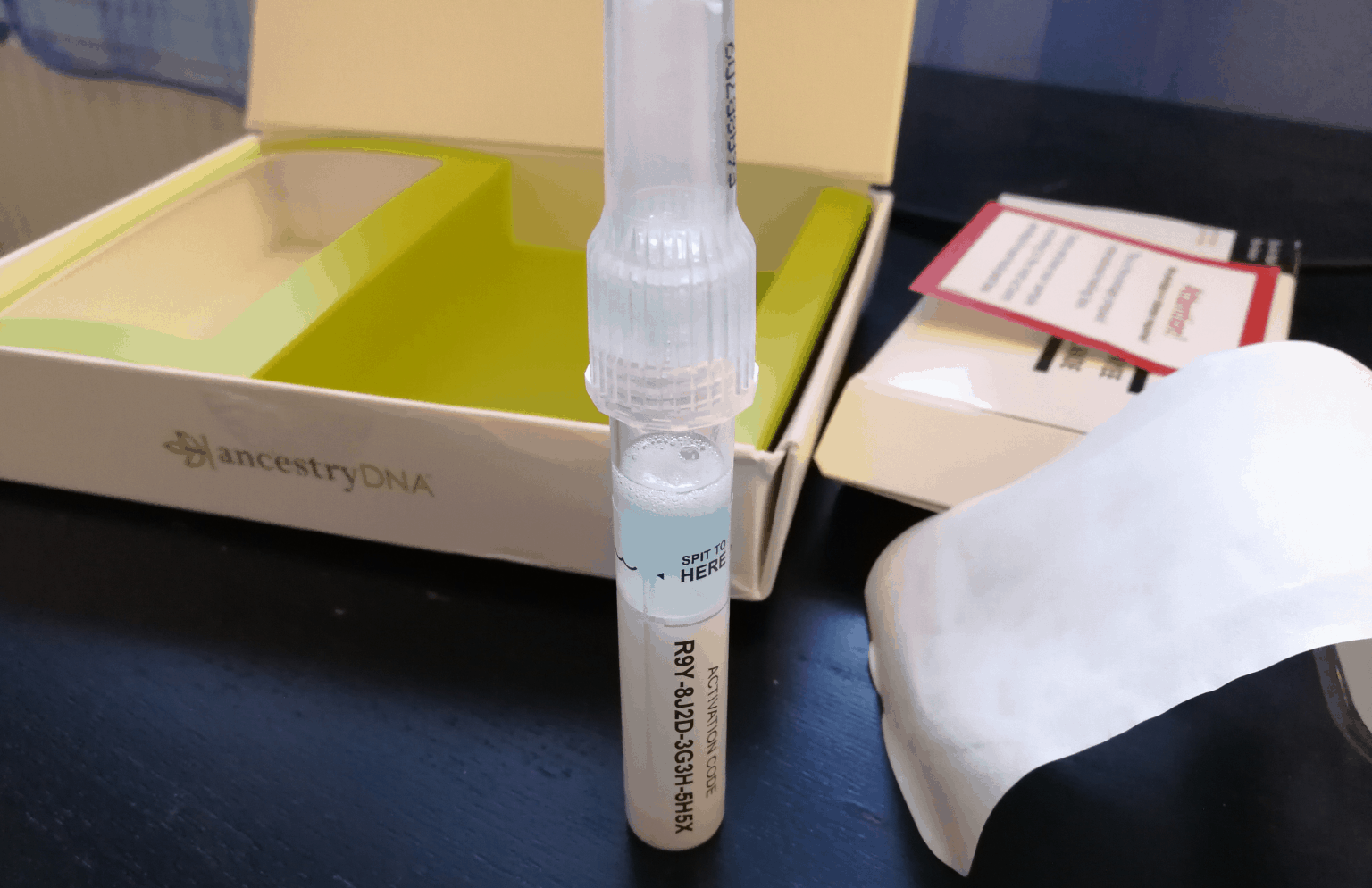 How Does Ancestry.com Work