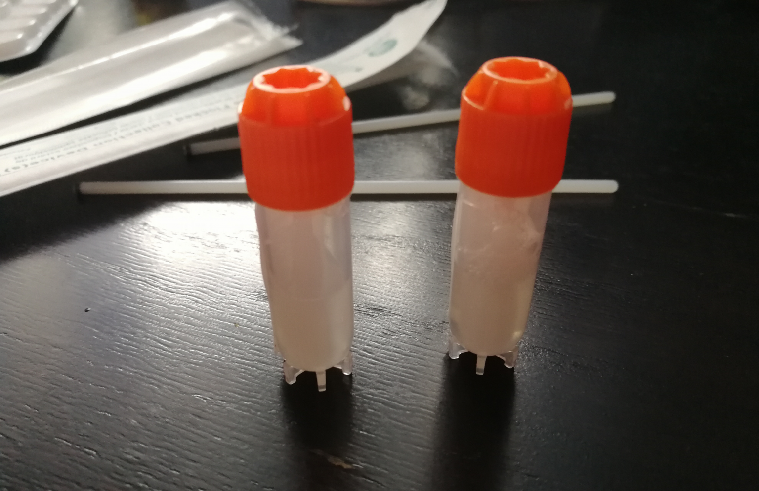 Family Tree DNA Review - Read this before you buy! (2023)