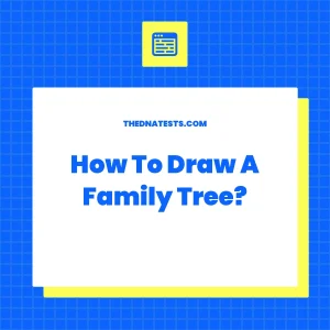 How To Draw A Family Tree?