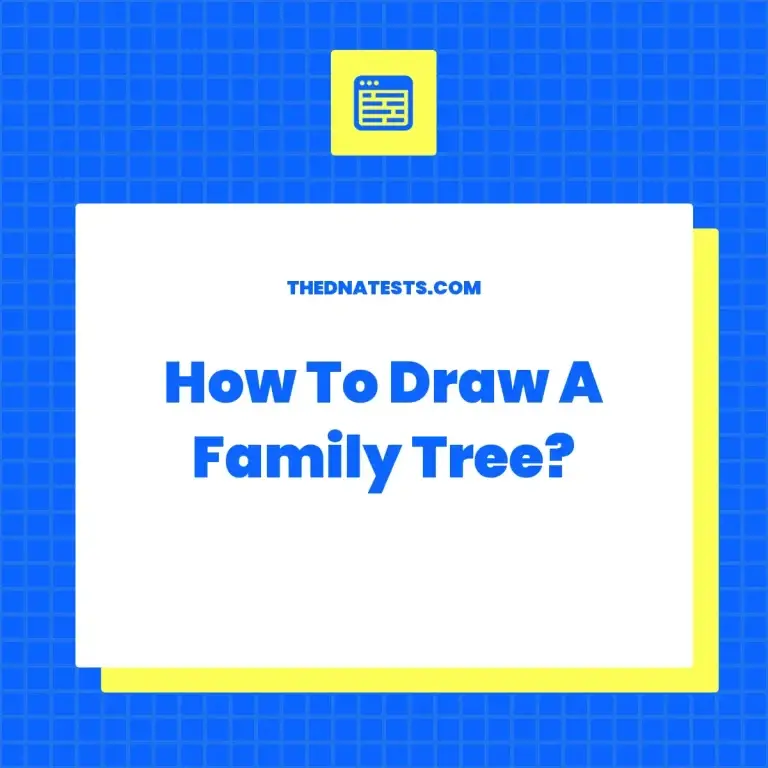 How To Draw A Family Tree?