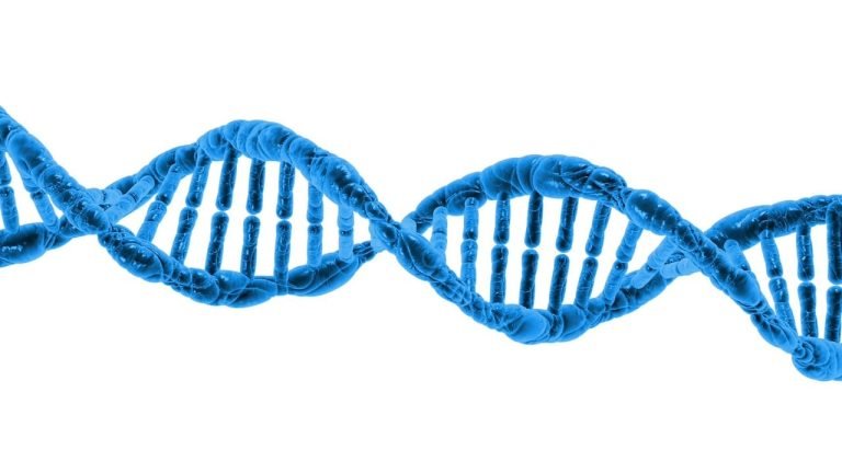 Why native American DNA does not show up in a DNA test?