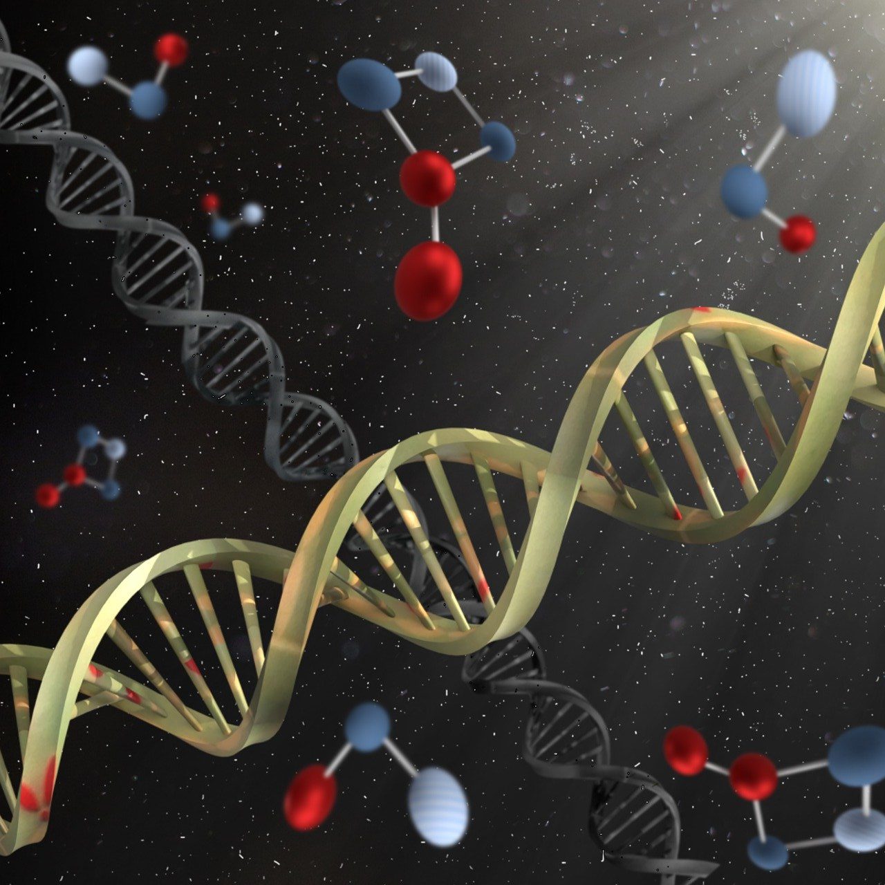 WeGene Review - Read this before you buy! (2023)