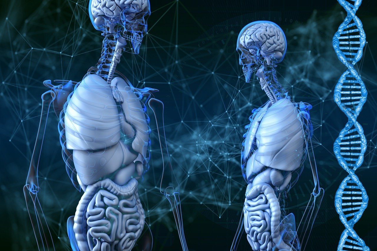 Tribecode By Centrillion Biosciences Review - Read this before you buy ...