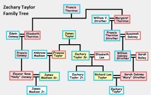 Zachary Taylor Family Tree: Exploring the Ancestors and Descendants