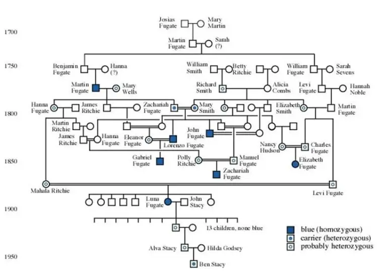 Exploring the Blue Fugates Family Tree: Tracing the Roots of a Unique ...