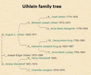 Exploring the Uihlein Family Tree: A Comprehensive Genealogical Analysis