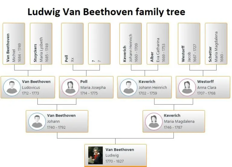 Ludwig Van Beethoven Family Tree