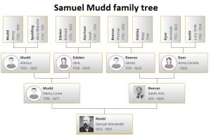 Samuel Mudd Family Tree