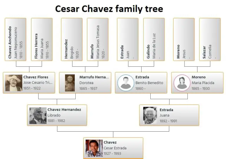 Family Tree | The DNA Tests - Genealogy, Family Tree, DNA Test Guides