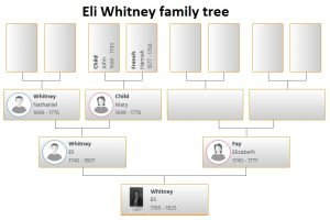Eli Whitney Family Tree