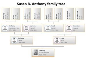 Susan B. Anthony Family Tree