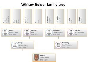 Whitey Bulger Family Tree